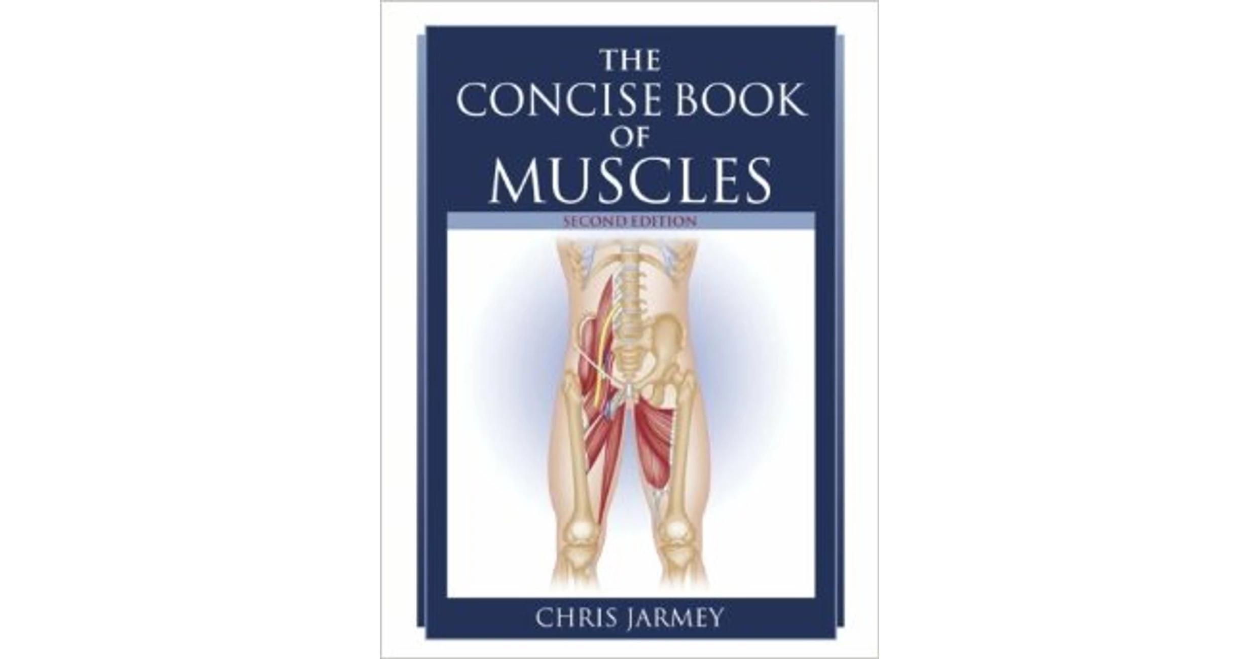 The Concise Book of Muscles